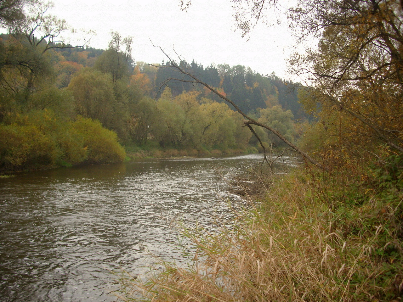 Řeka Sázava :: Samechov u Chocerad
